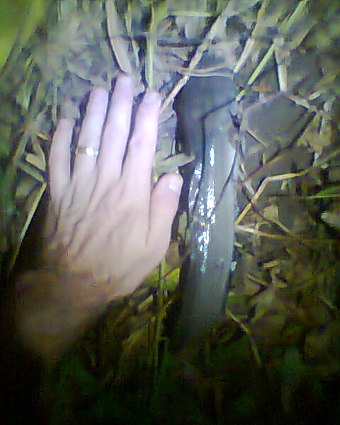 Catfish (Hito) | Fishing The Philippines