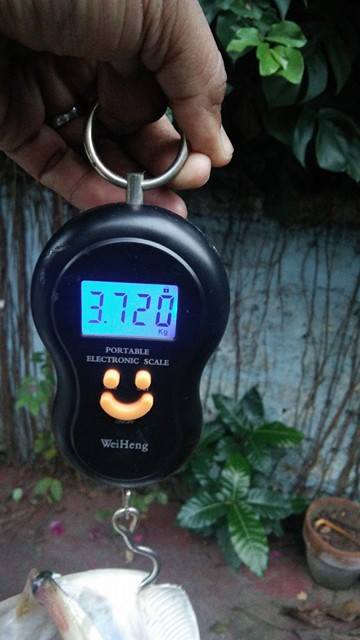 Lady Fish (Bid Bid) | Fishing The Philippines