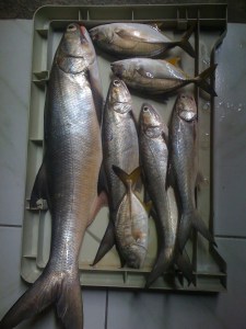 Fishing Spots | Fishing The Philippines
