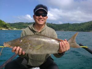 Long Nosed Emperor Fish ( Lethrinus olivaceus ) | Fishing The Philippines