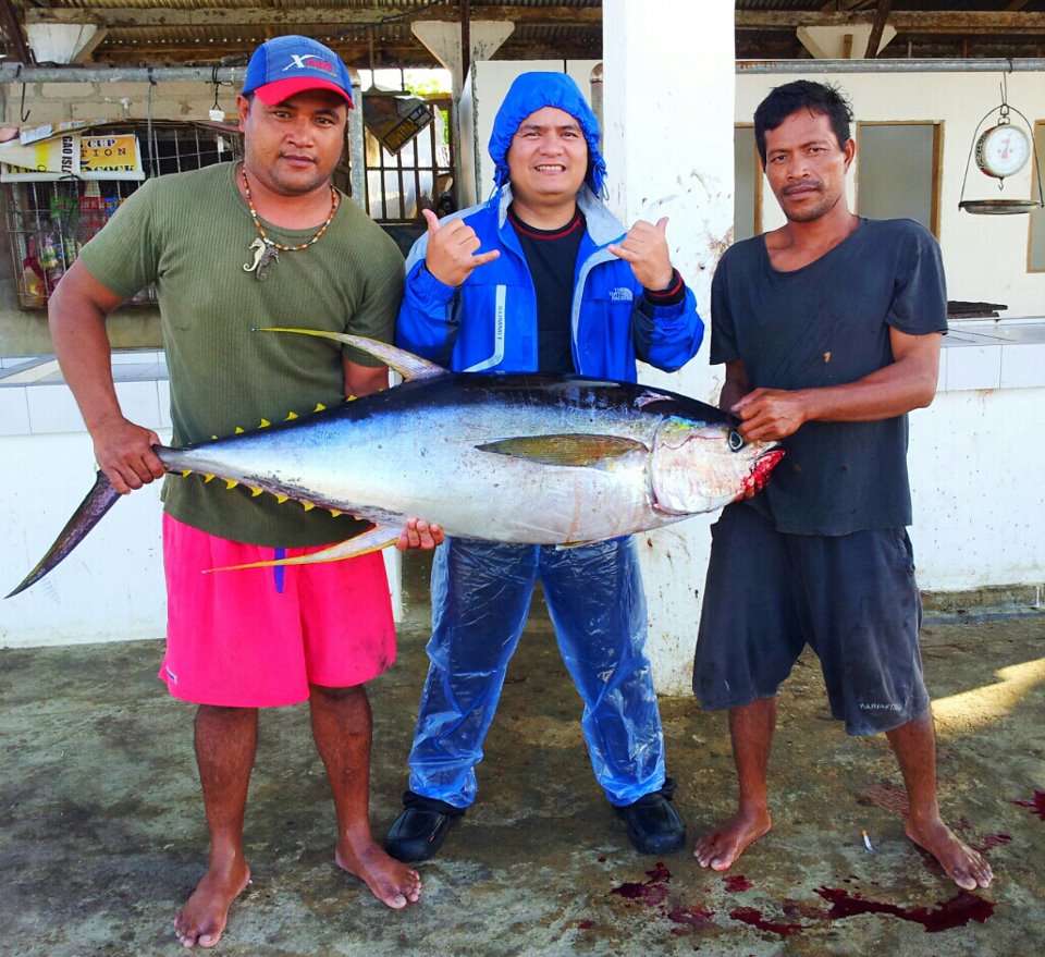 Yellow Fin Tuna ( Thunnus albacares ) | Fishing The Philippines