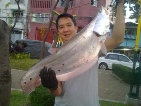 Knife Fish | Fishing The Philippines