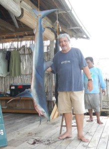 Shark (Pating) | Fishing The Philippines
