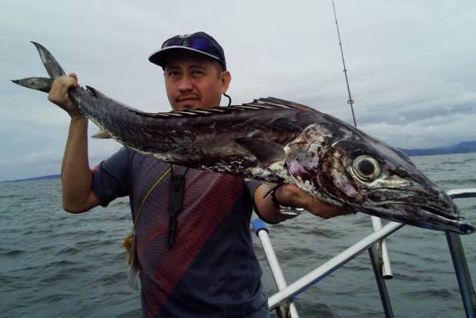 Black Snoek ( Thyrsitoides marleyi ) | Fishing The Philippines