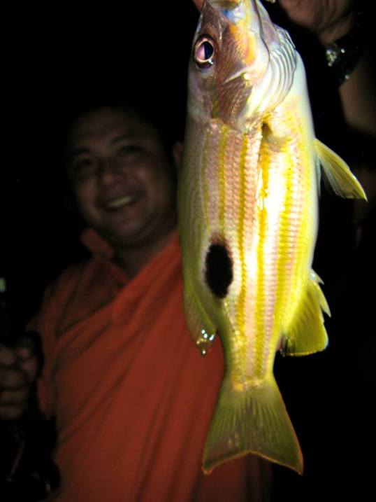 Snapper (Maya Maya) | Fishing The Philippines | Page 2