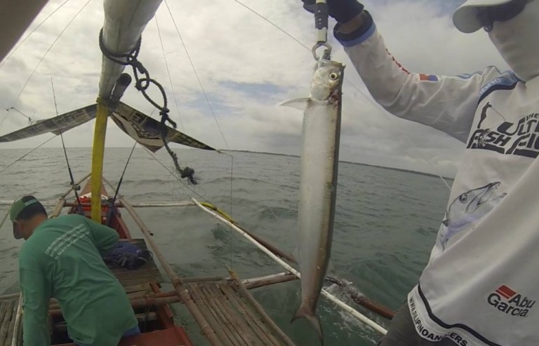Tarpon (Buan-Buan) | Fishing The Philippines
