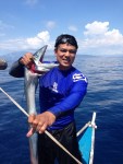 Mackerel (Tangigue) | Fishing The Philippines