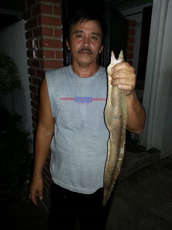 Eel (Igat) | Fishing The Philippines