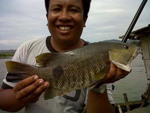 Snapper (Maya Maya) | Fishing The Philippines