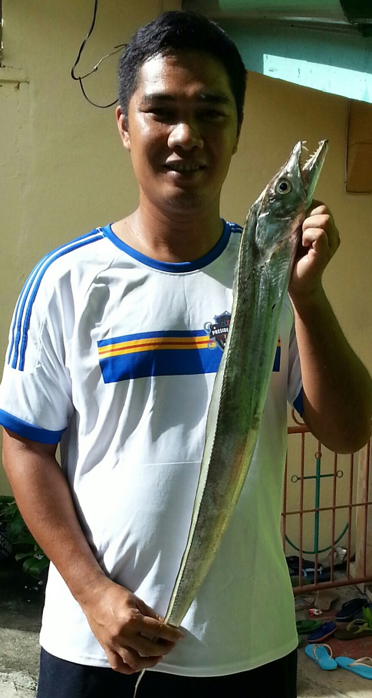 Hairtail ( Trichiurus haumela ) | Fishing The Philippines