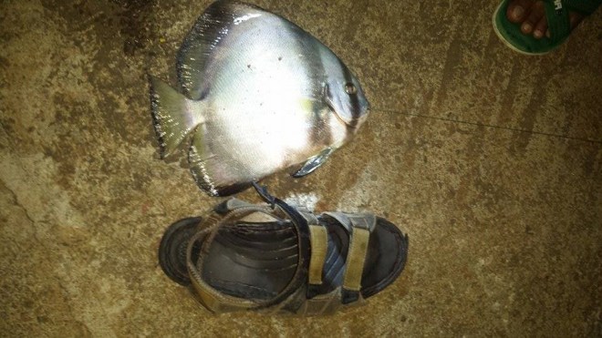 Rare/Bizarre | Fishing The Philippines