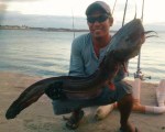 Catfish (Hito) | Fishing The Philippines